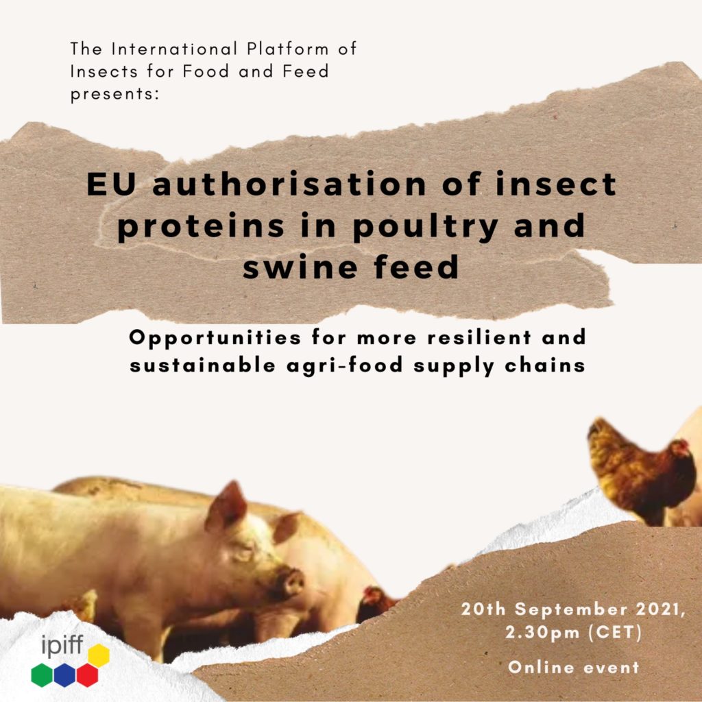 Insect proteins in poultry and pig feed are fully authorised in the ...